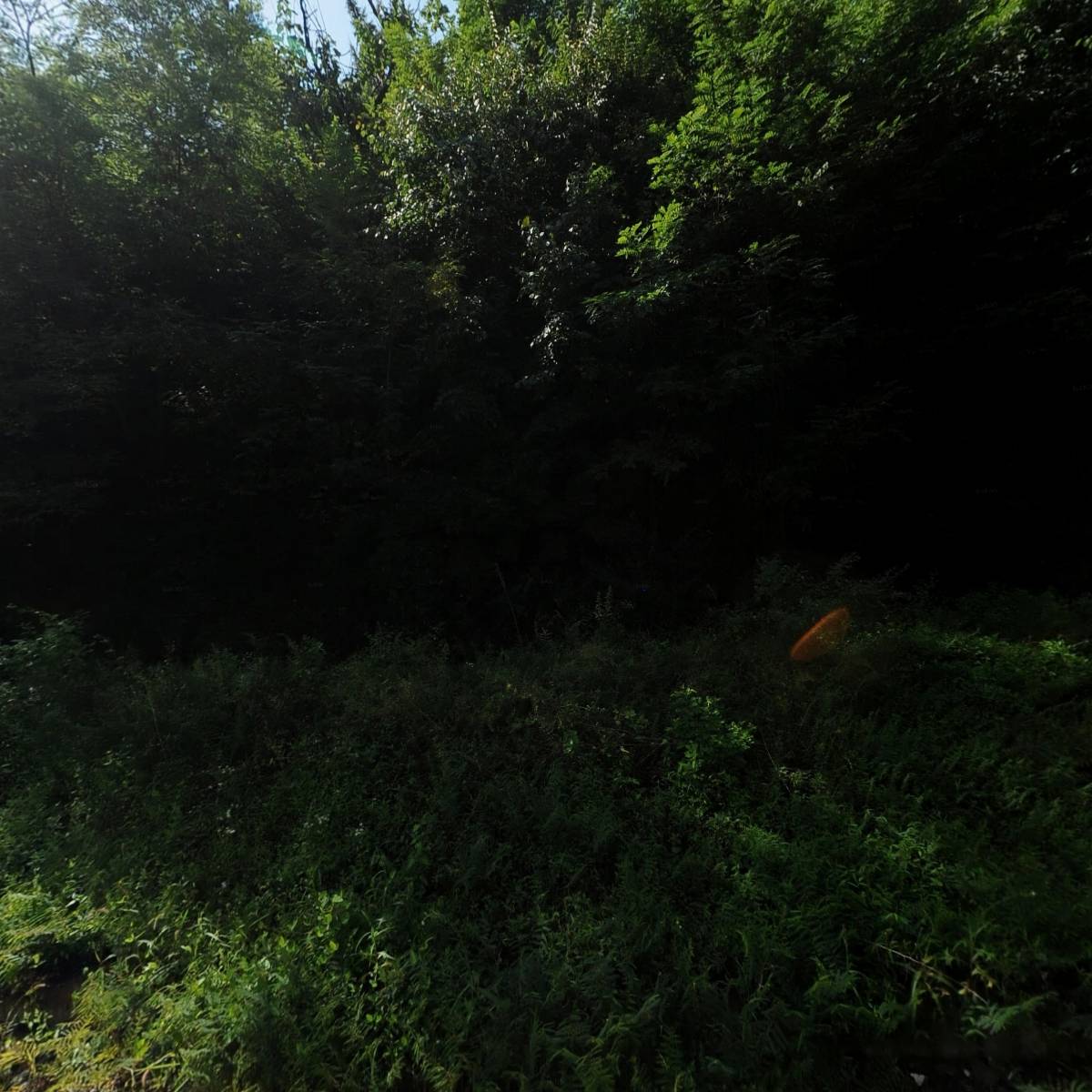 주식회사 아세아이앤지